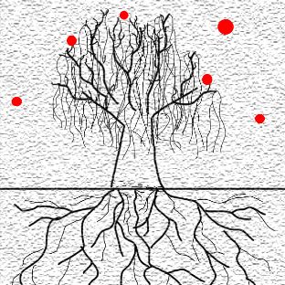 Иконка канала Ракиты!
