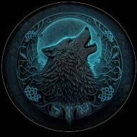 Иконка канала swallow the moon