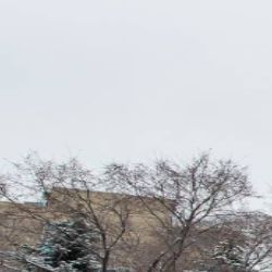 Иконка канала Алибек