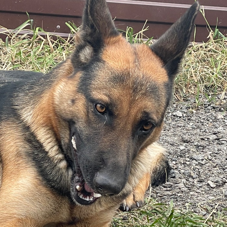 Иконка канала Вадим ремонт автомобилей