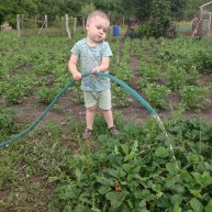 Иконка канала У Палыча