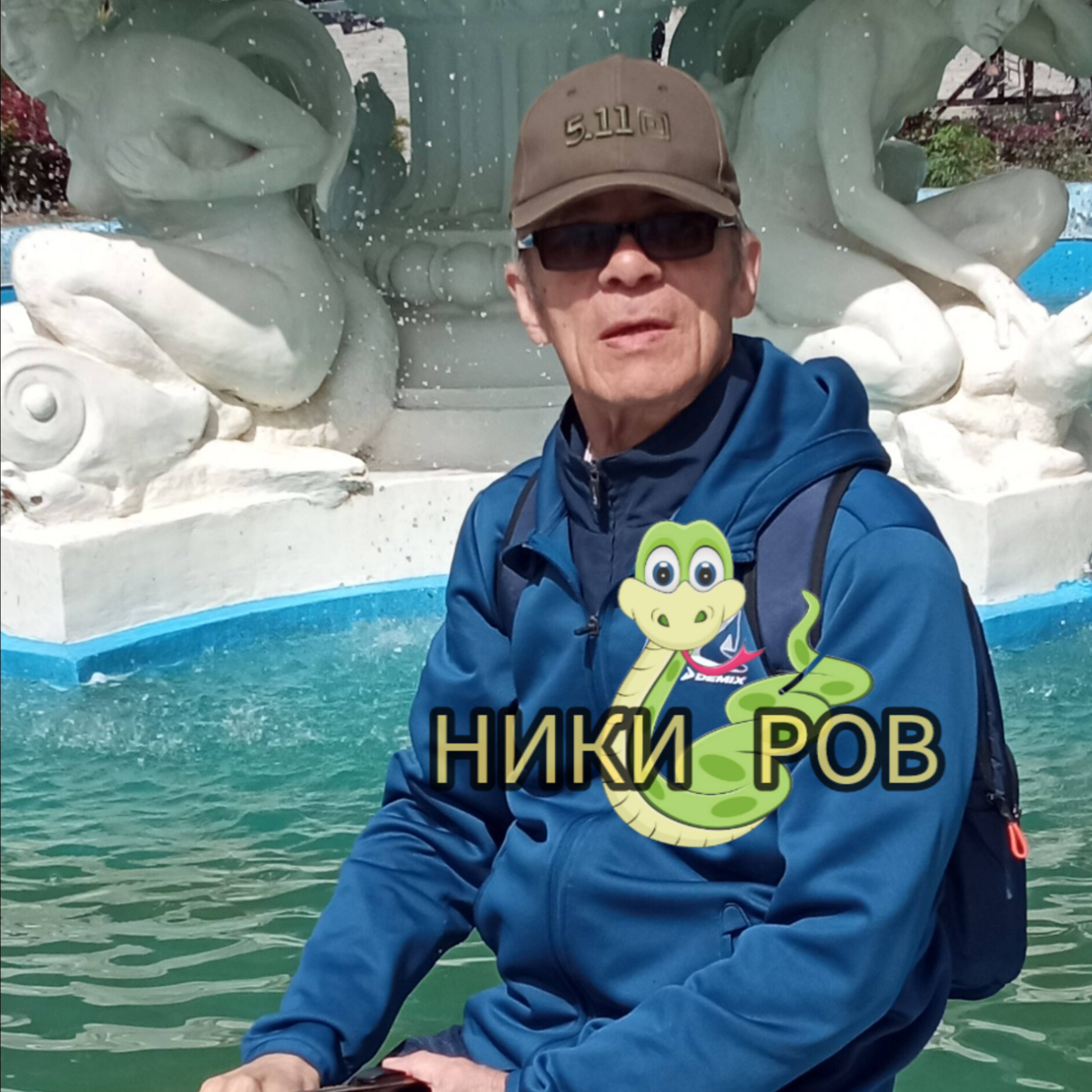 Иконка канала Ники Ров