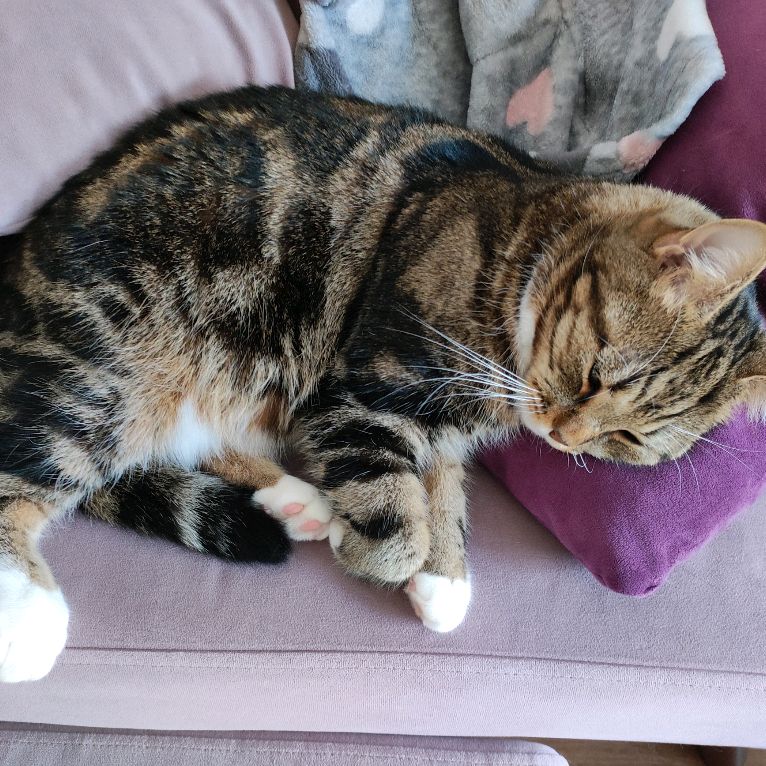 Иконка канала СашаМила