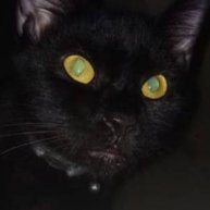 Иконка канала Син Крипта