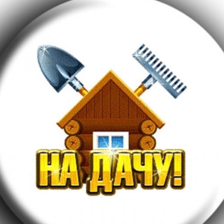 Иконка канала Сад огород и пчёлы