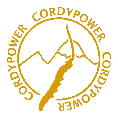 Иконка канала CordyPower