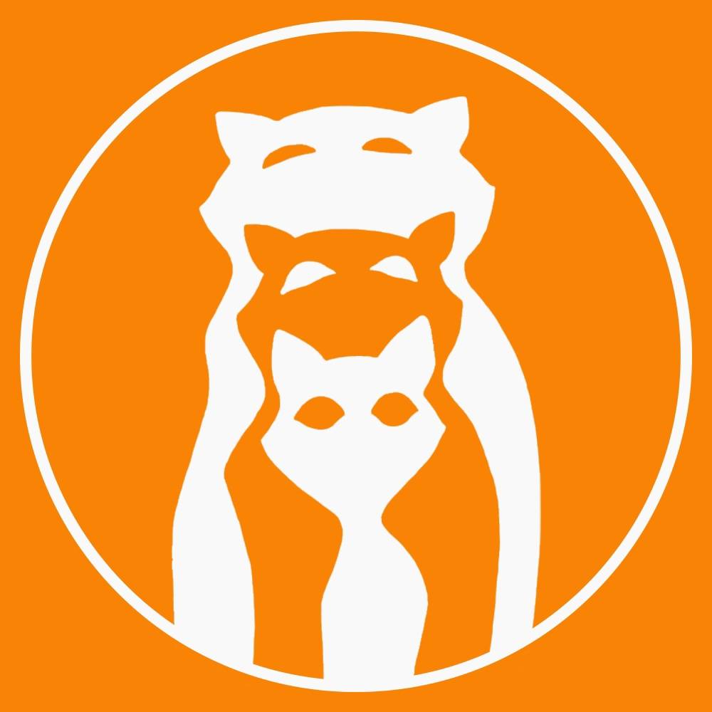 Иконка канала Семейная Мягкая Школа