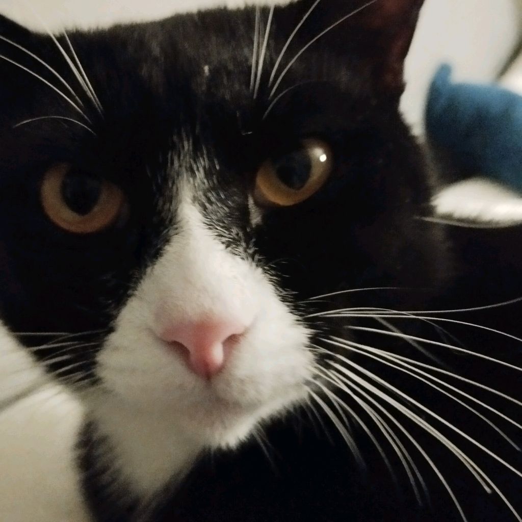 Иконка канала МАРСИК ИГРАЕТ