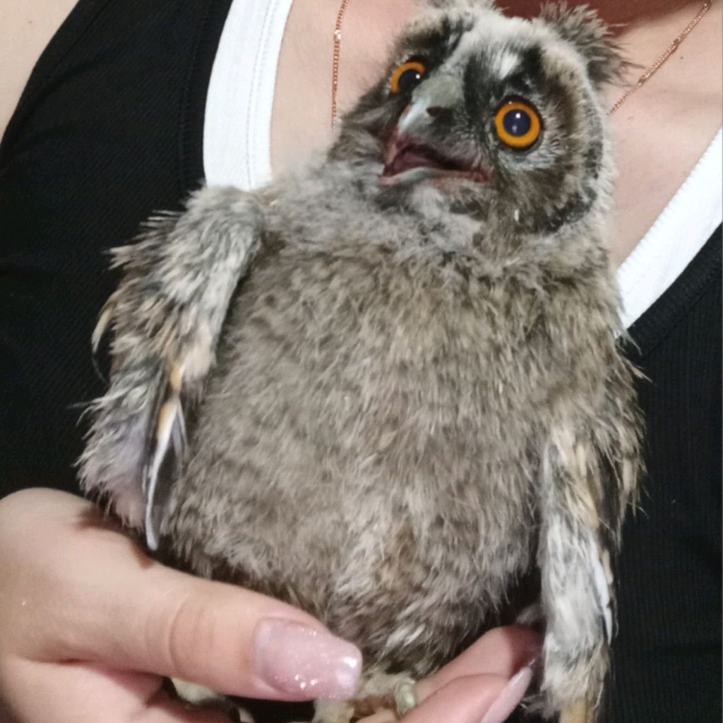 Иконка канала channel34578067