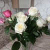Иконка канала Руслан