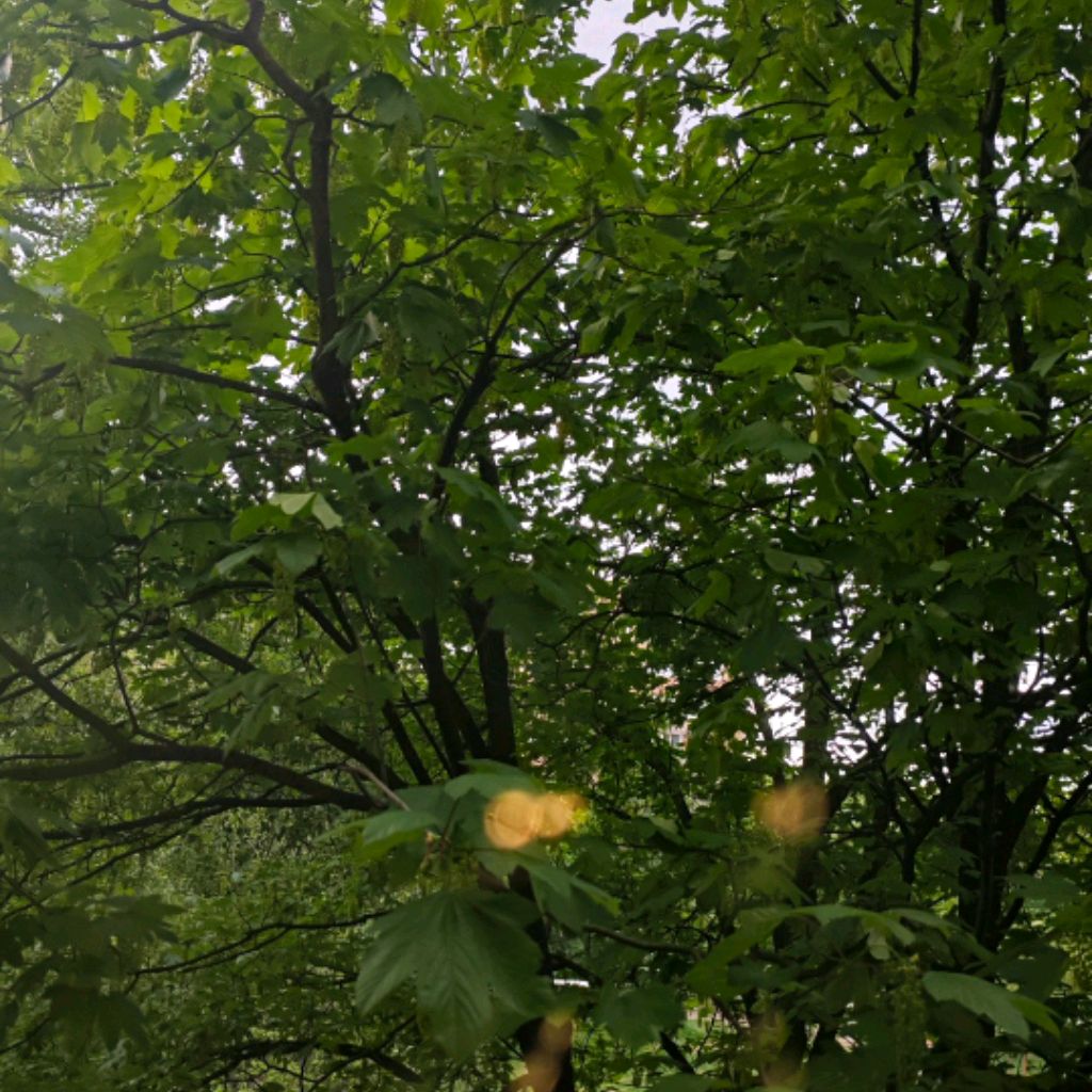 Иконка канала оля