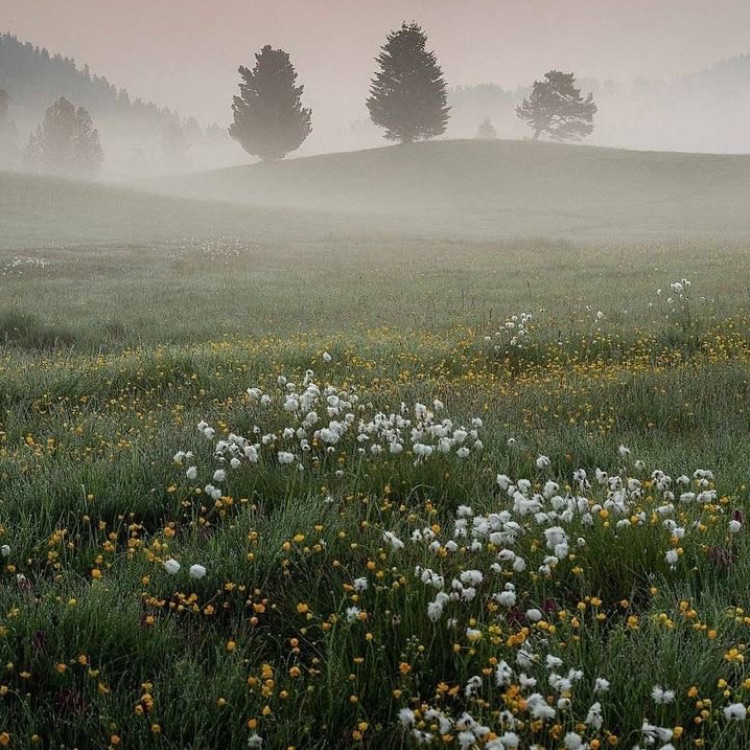 Иконка канала yourmemories