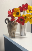 Иконка канала Anyuta_life_and_fun