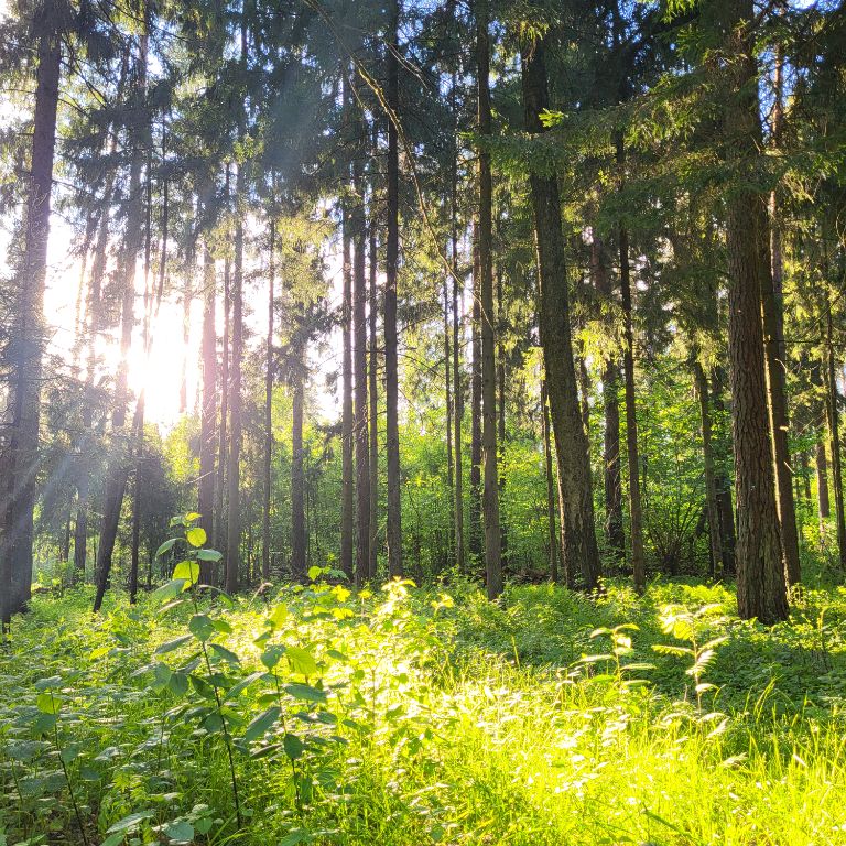 Иконка канала Степняк