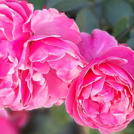 Иконка канала сахара