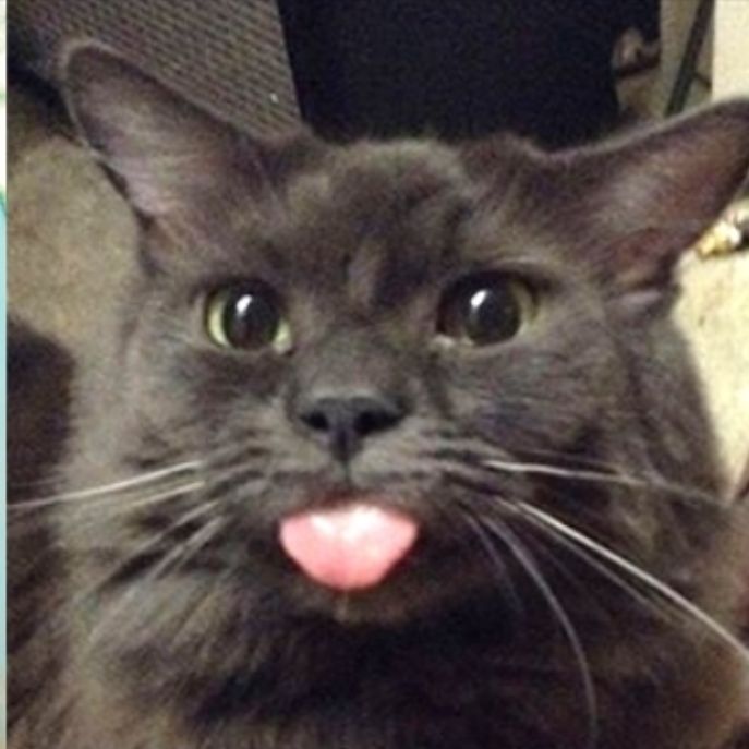 Иконка канала Сашуличка  ❤ Love