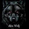 Иконка канала Alex Wolf