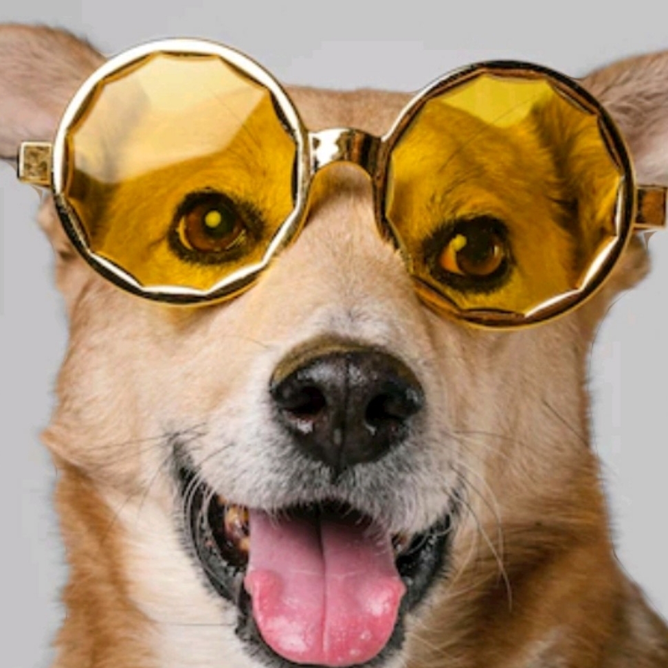 Иконка канала Даник🙂