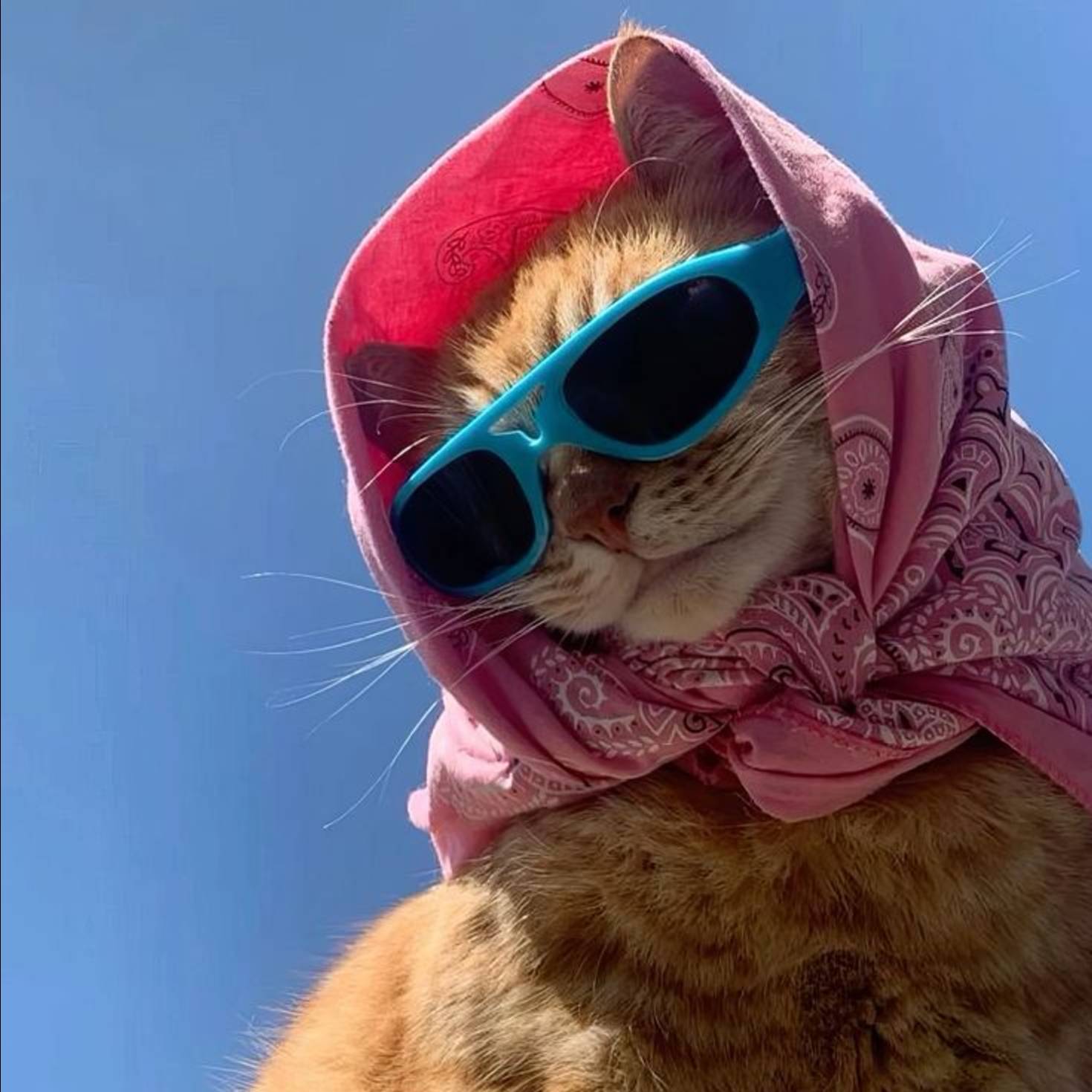 Иконка канала BEAUTY.PRO