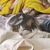 Иконка канала 40пр40