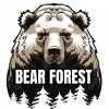 Иконка канала BEAR_FOREST