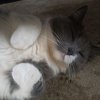 Иконка канала Выкладываю различные видео на Рутуб