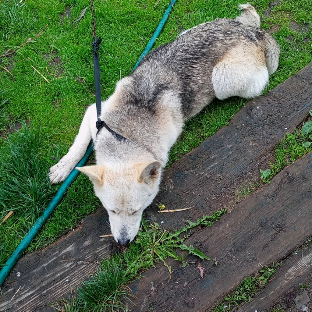 Иконка канала Илья зеленов