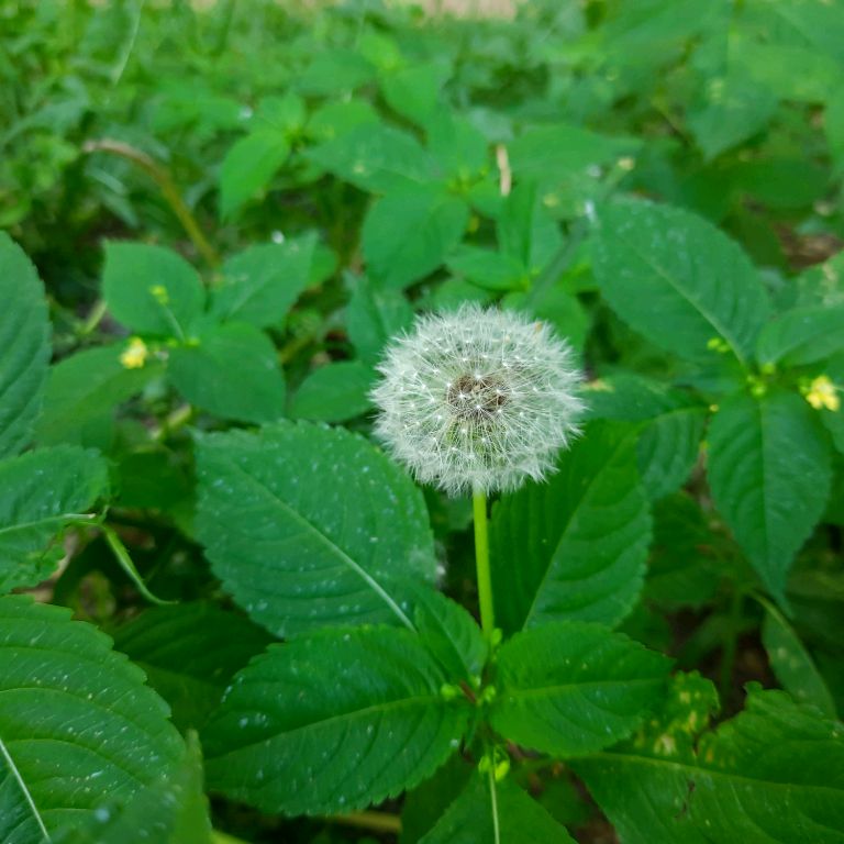 Иконка канала Всё Что Есть