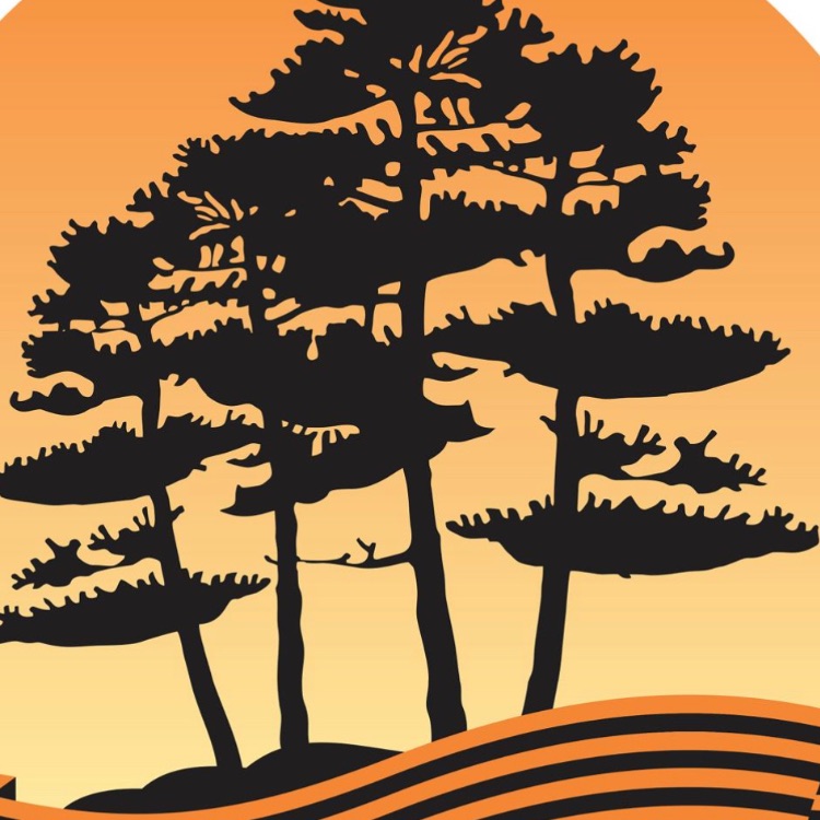 Иконка канала Кедры Великой Победы