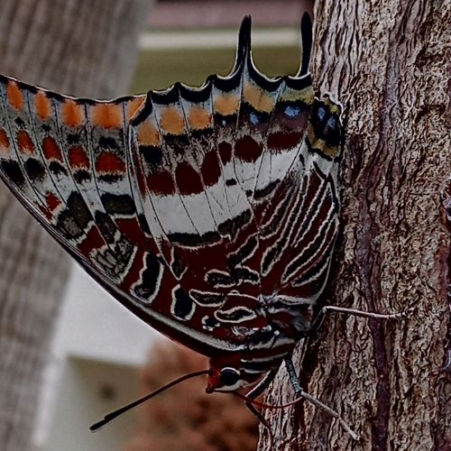 Иконка канала Iriska. perm