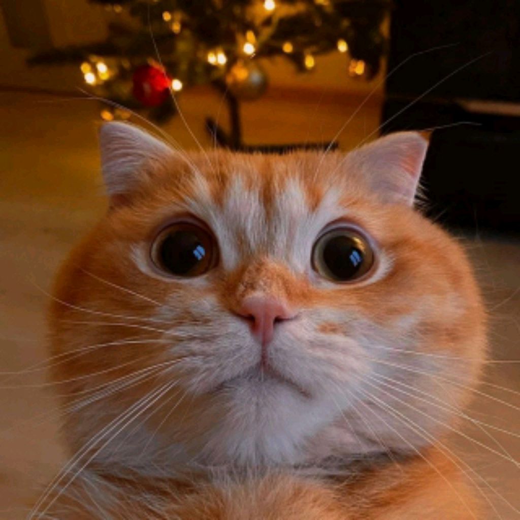 Иконка канала OKShow