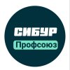 Иконка канала СИБУР Профсоюз