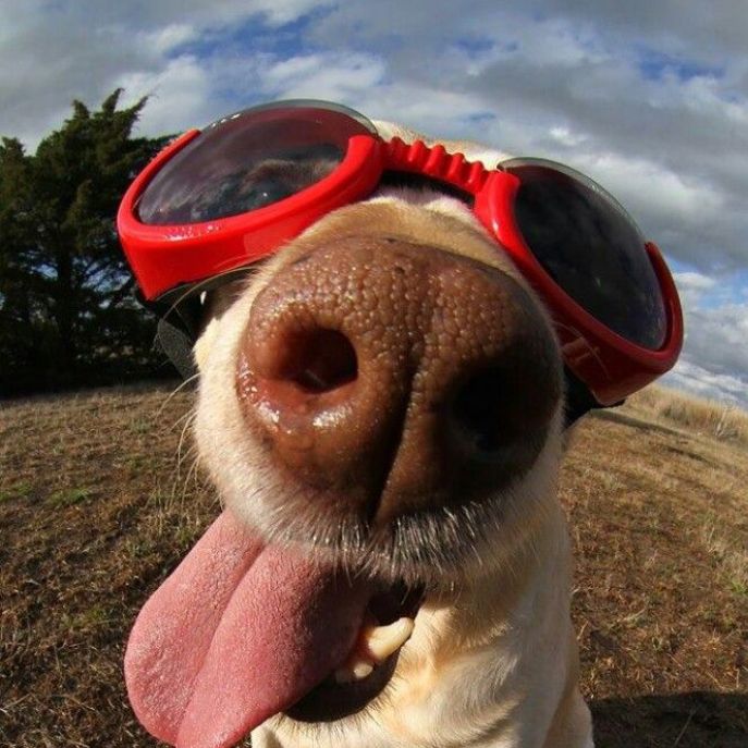 Иконка канала MTA_Gleb_Nikitin