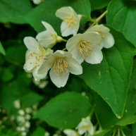 Иконка канала ИИСУСОВА МОЛИТВА