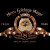 Иконка канала Pleshchev