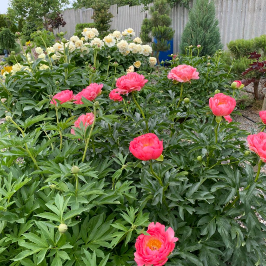 Иконка канала Быт Дачника