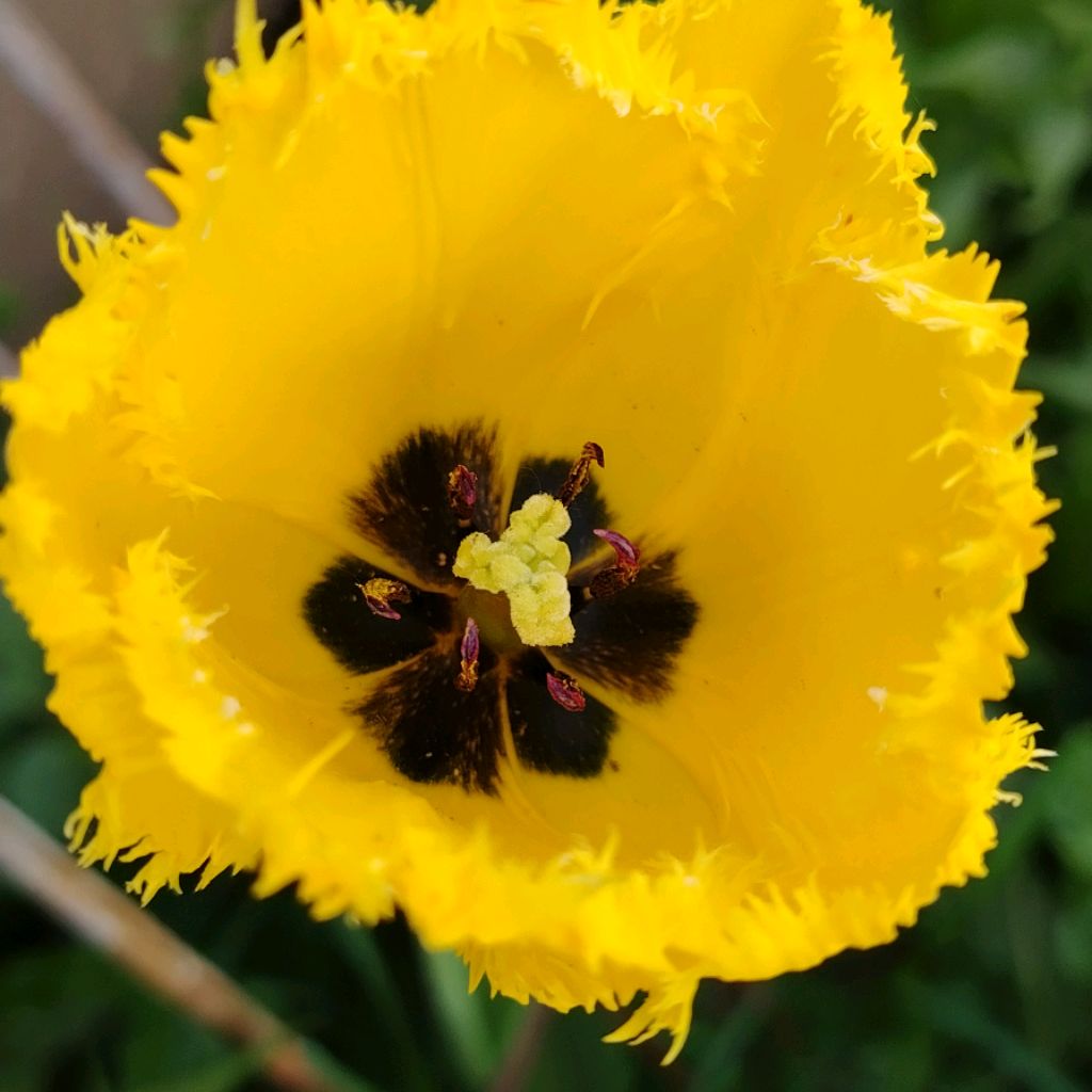 Иконка канала channel64978923