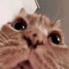 Иконка канала Chorsh_24_