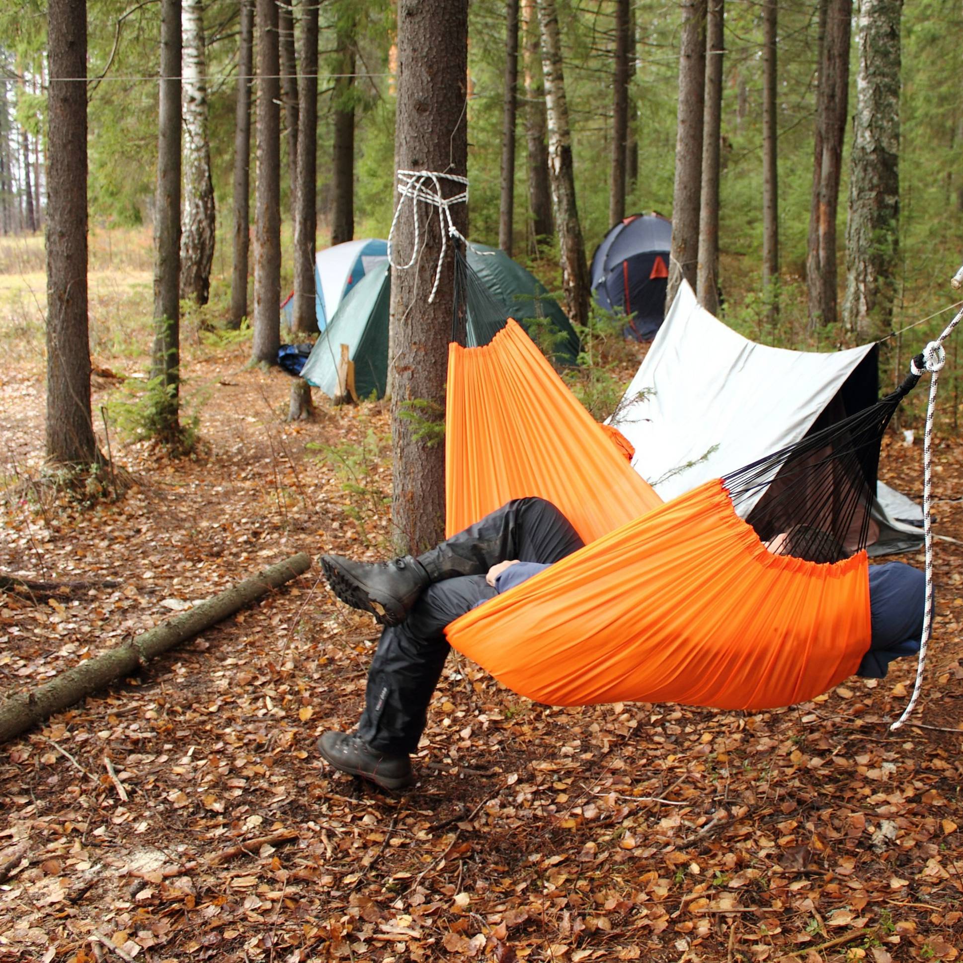 Иконка канала Квазимодо