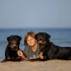 Иконка канала Rottweiler Kennel