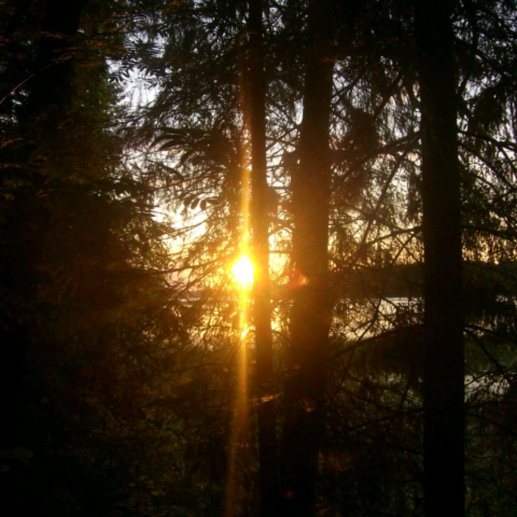 Иконка канала Мария Кочеткова.