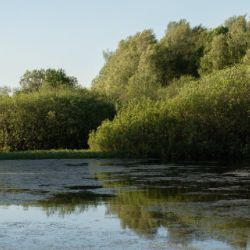 Иконка канала Подмосковные будни