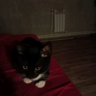 Иконка канала Сильвер игроман