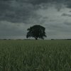 Иконка канала oak on the field