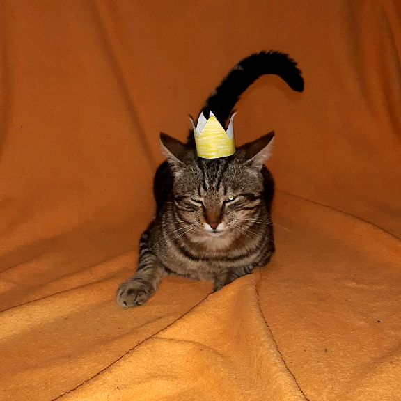 Иконка канала 🐱КОТ МУЛЬТИК🐱