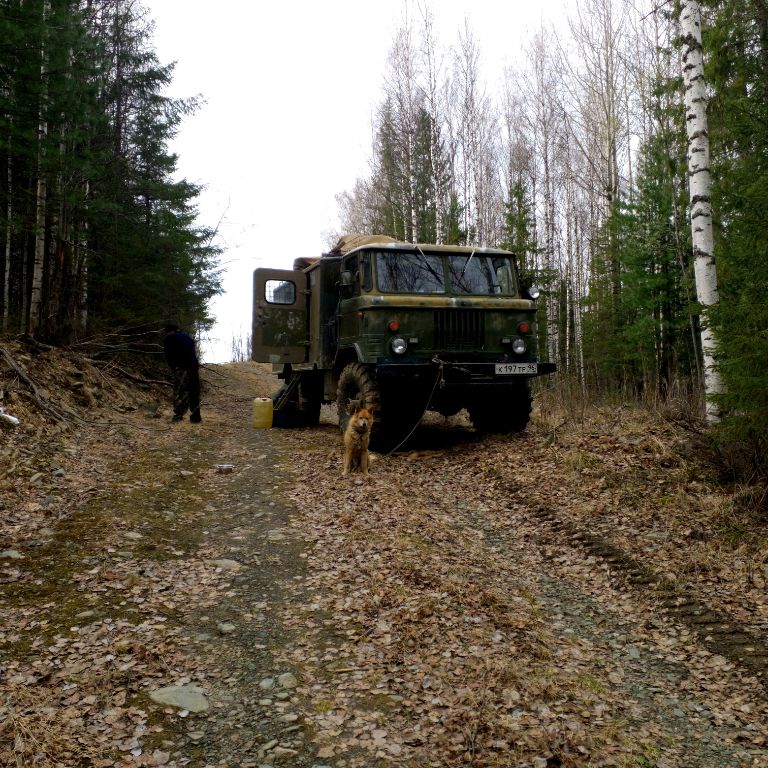 Иконка канала Золото поиск...