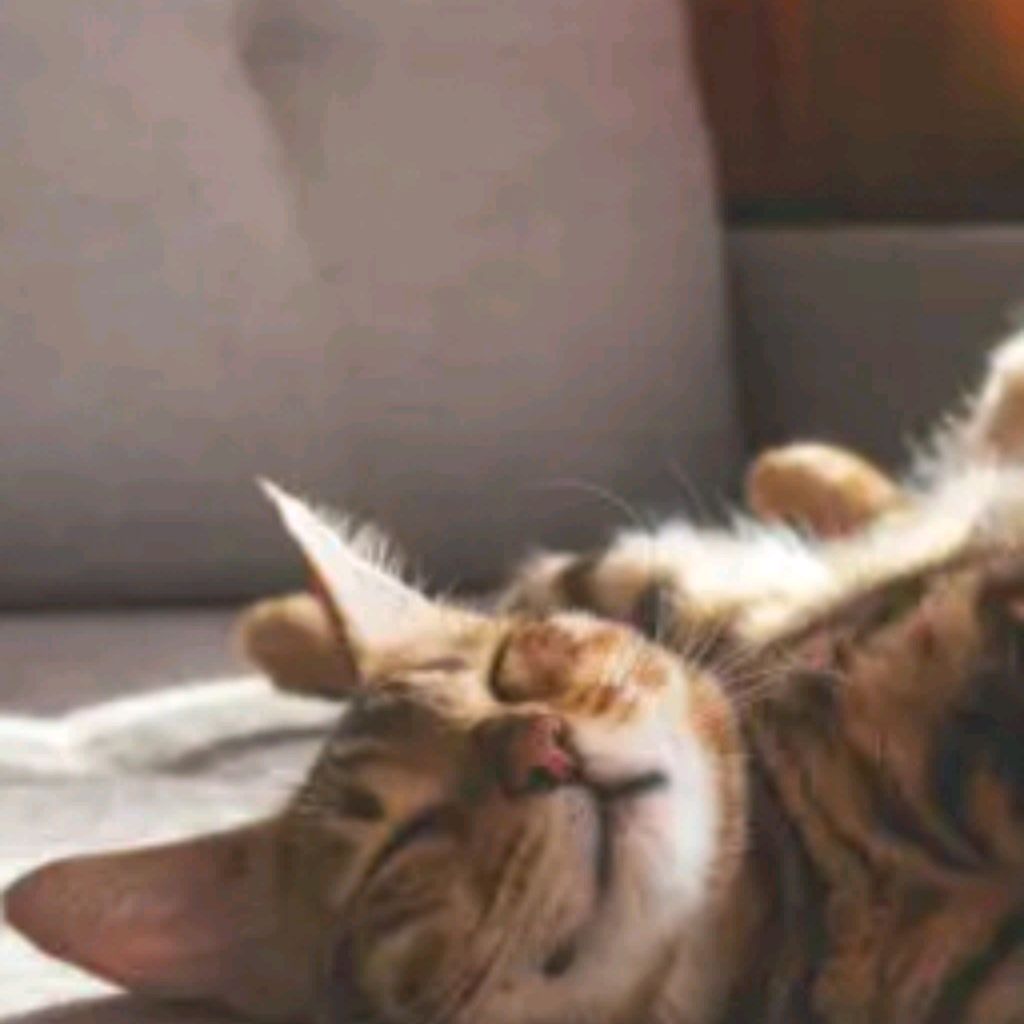 Иконка канала Спорт и Юмор