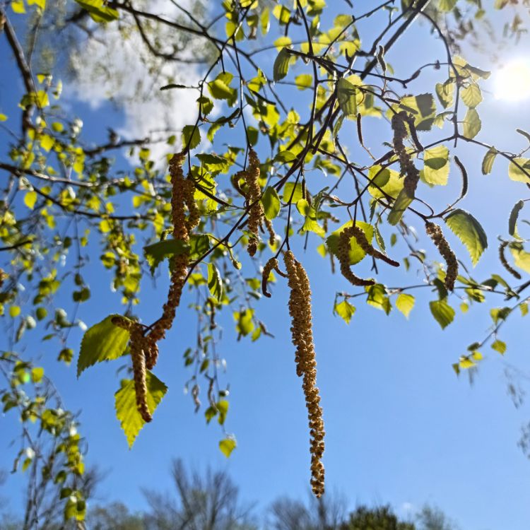 Иконка канала Воспитатель301