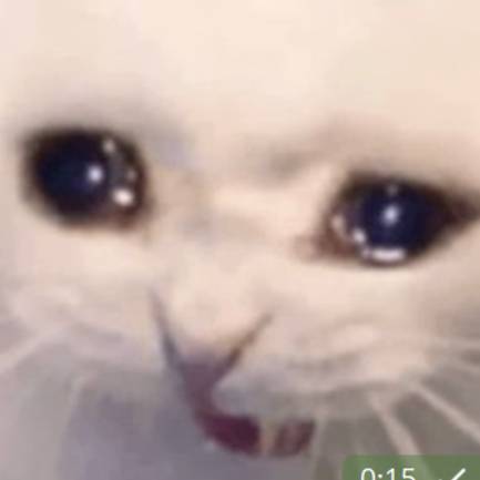 Иконка канала channel38226817