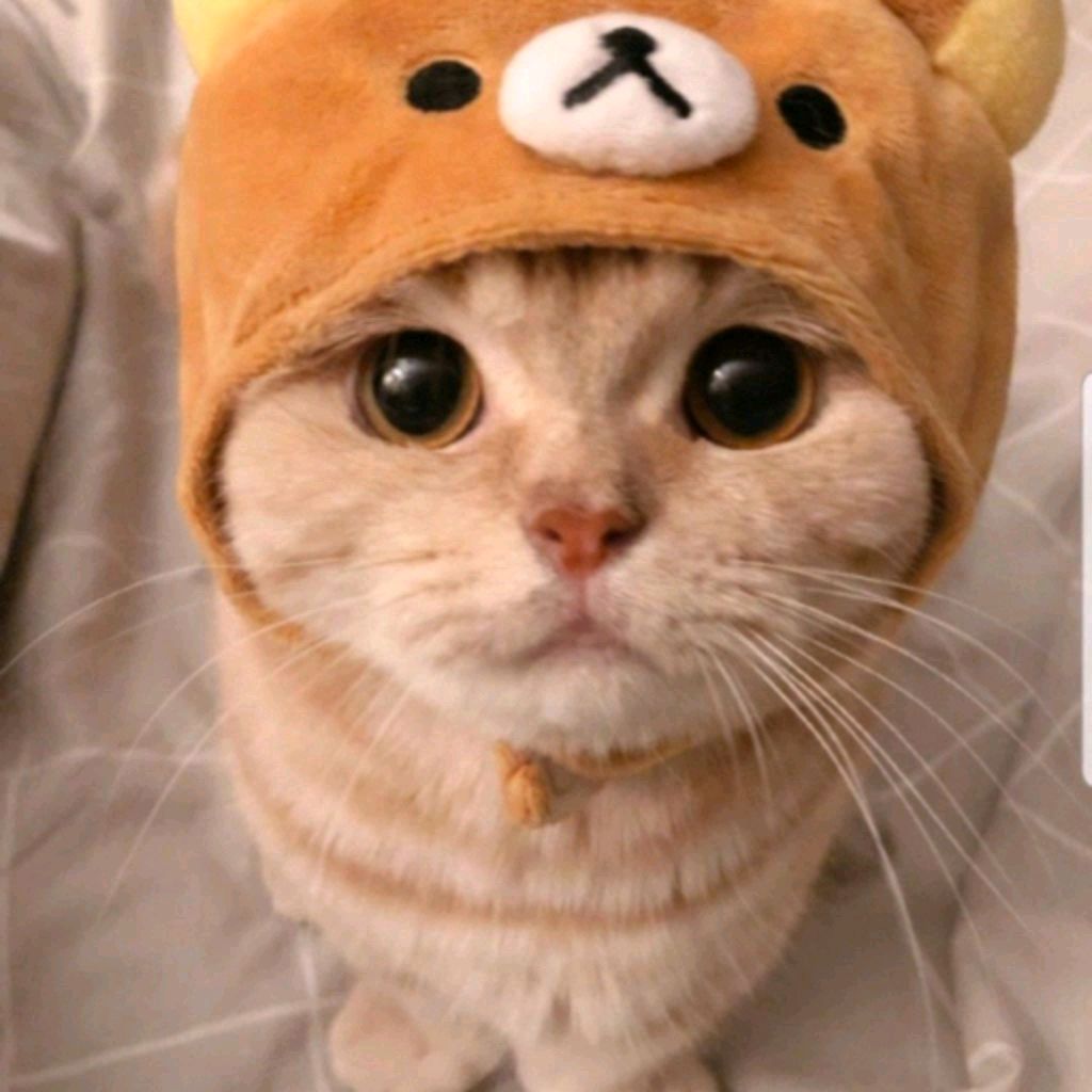 Иконка канала ~ Руслан ~